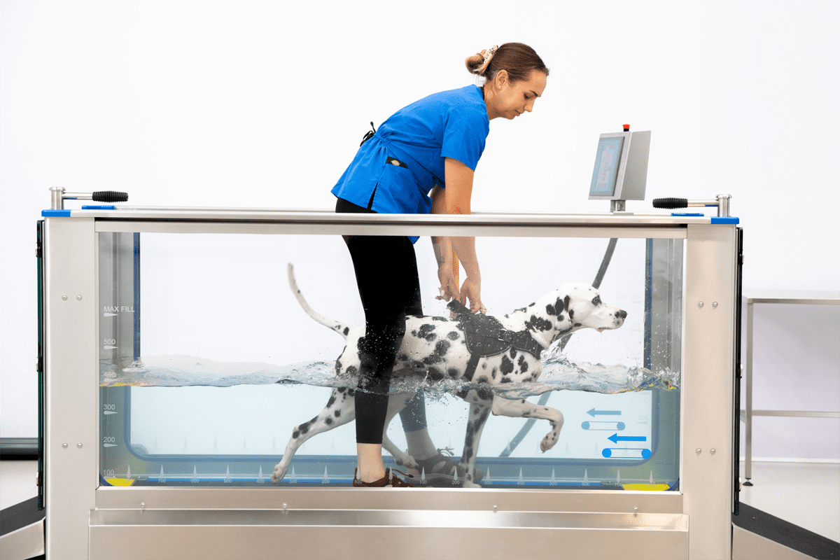 Canine Hydrotherapy Underwater Treadmills - Hydro Physio